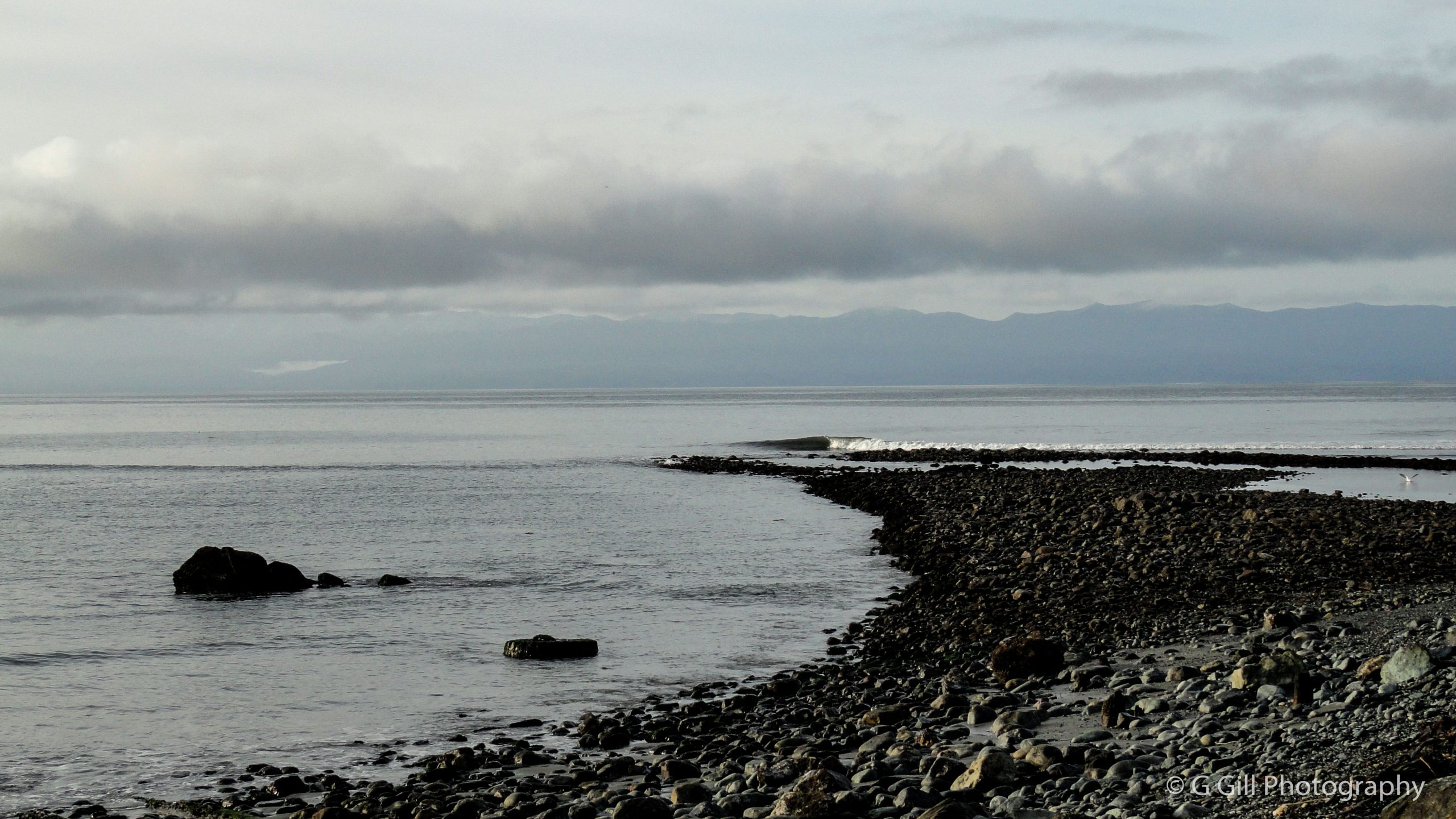 Botanical Beach, Port Renfrew -the Joy of Exploring Marine flora and fauna