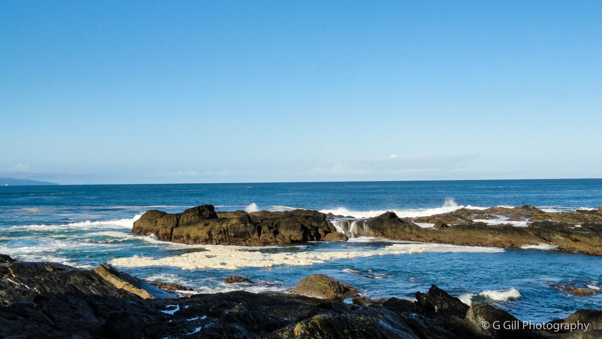 Botanical Beach, Port Renfrew -the Joy of Exploring Marine flora and fauna