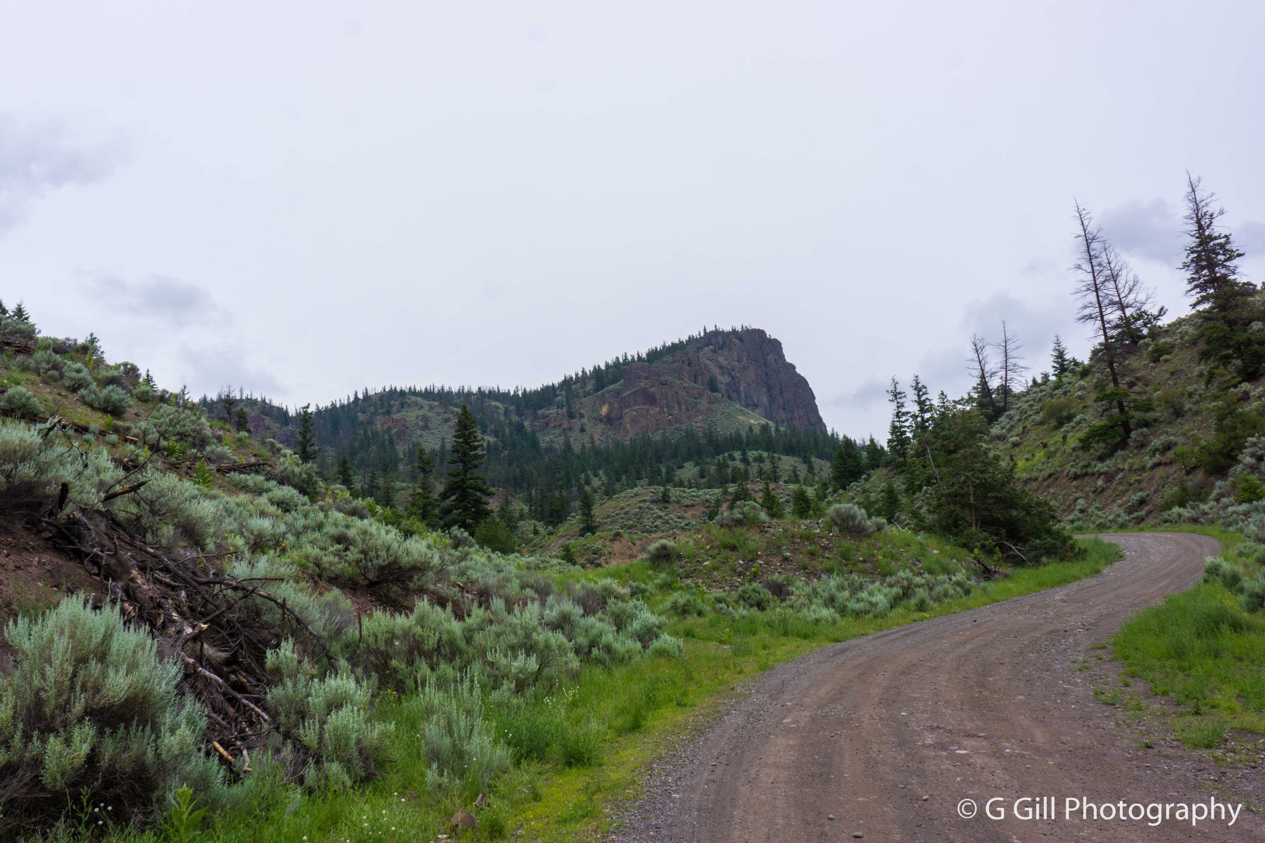 Criss Creek FSR - the Joy of Exploring Backroads of BC