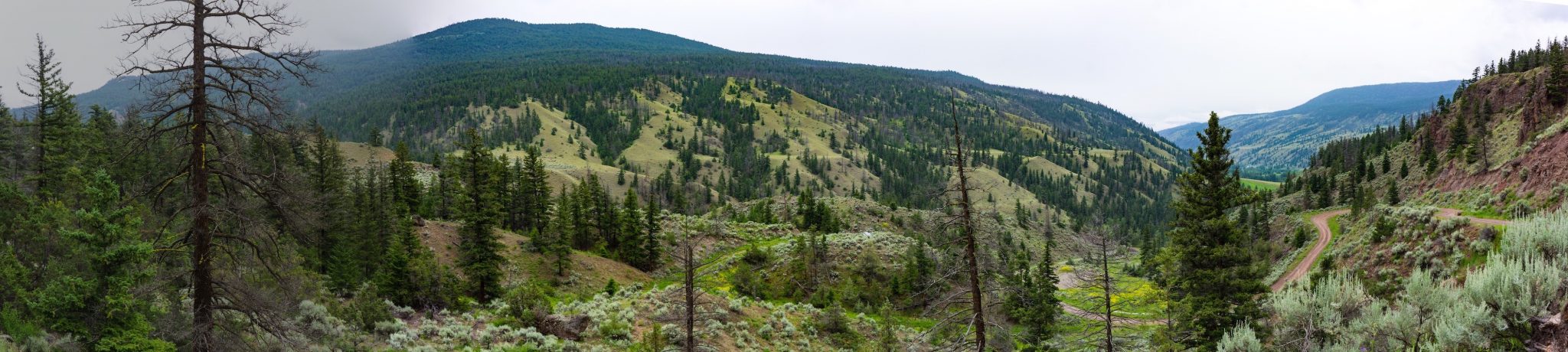 Criss Creek FSR - the Joy of Exploring Backroads of BC