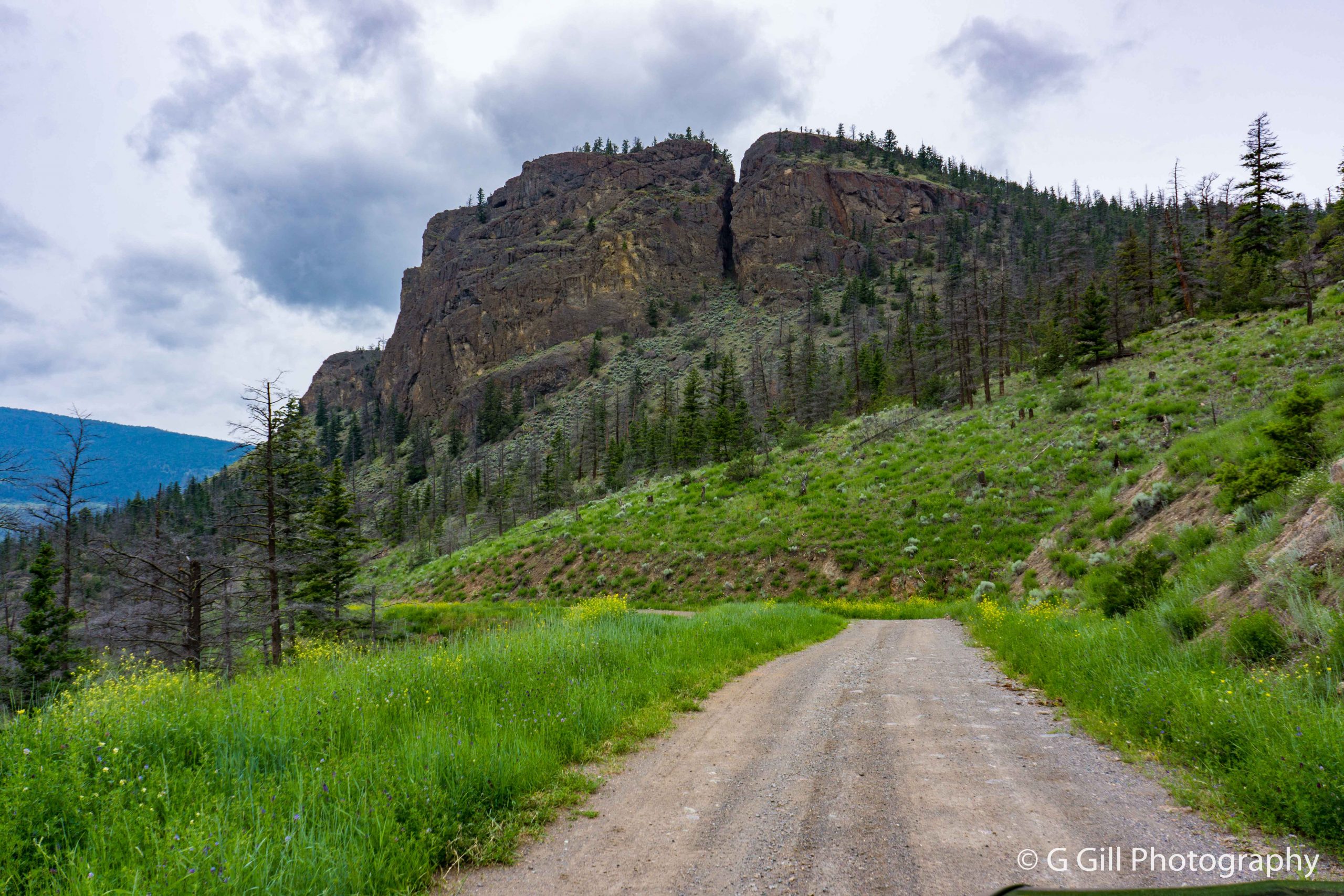 Criss Creek FSR - the Joy of Exploring Backroads of BC