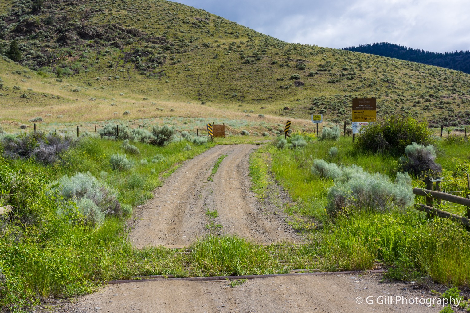 Battle Creek Forest Service Road - the Joy of Exploring Backroads of BC