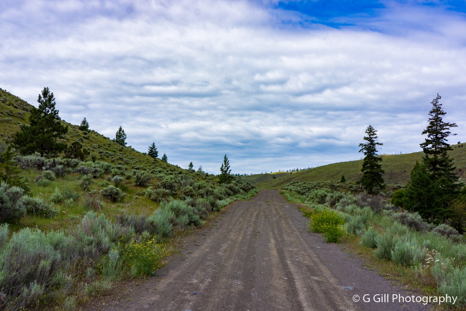 Battle Creek Forest Service Road - the Joy of Exploring Backroads of BC