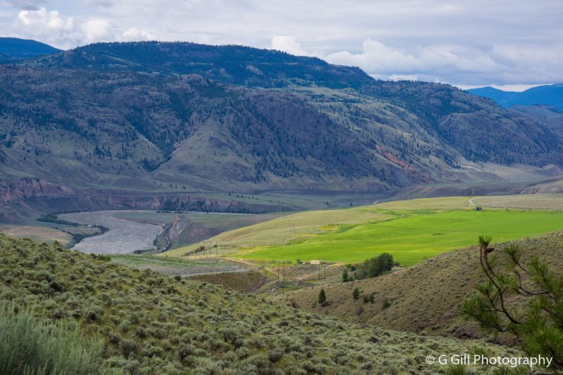 Battle Creek Forest Service Road - the Joy of Exploring Backroads of BC