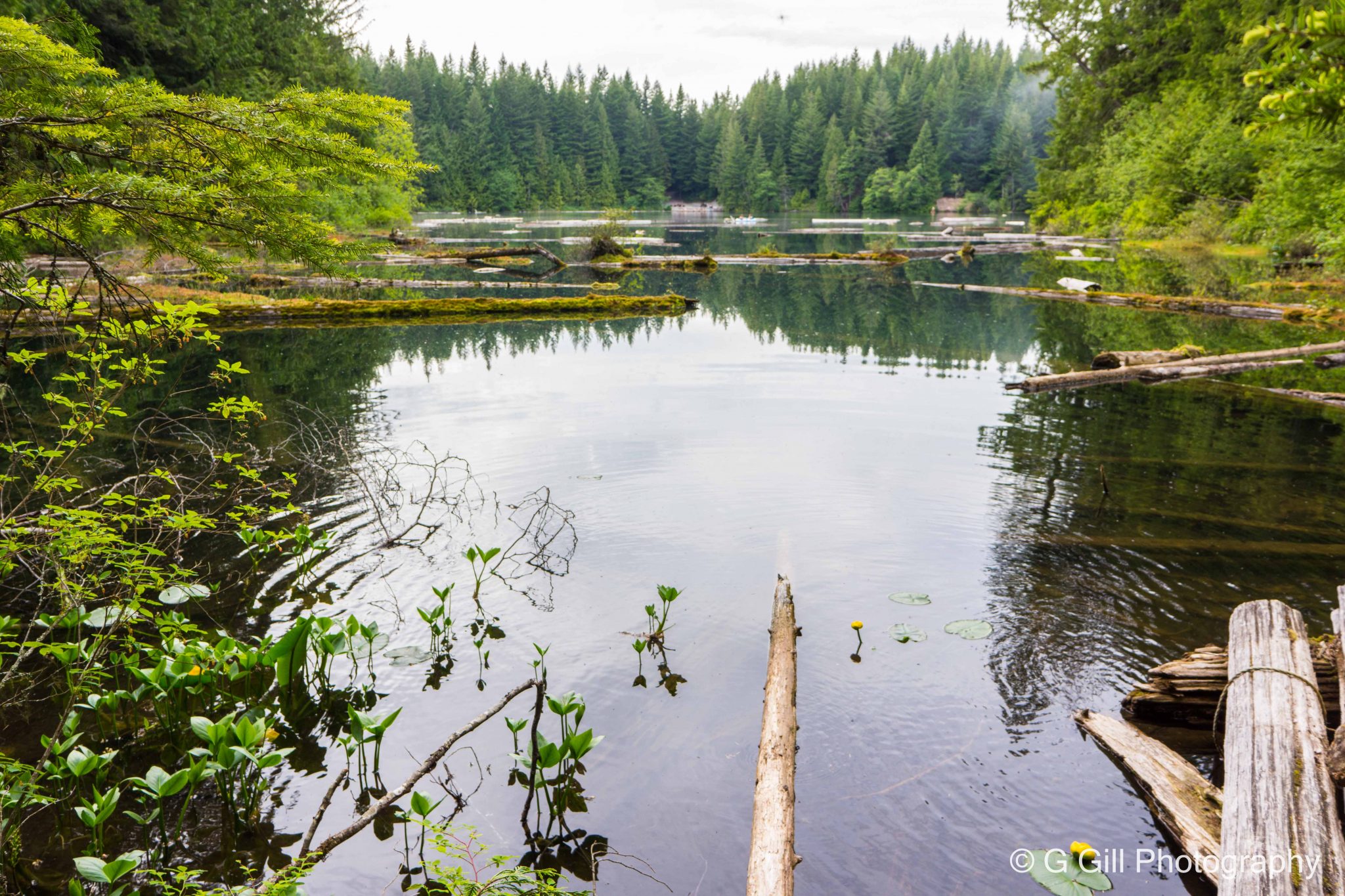 Wilderness Camping at the Cat Lake, Squamish - Joy of Exploring